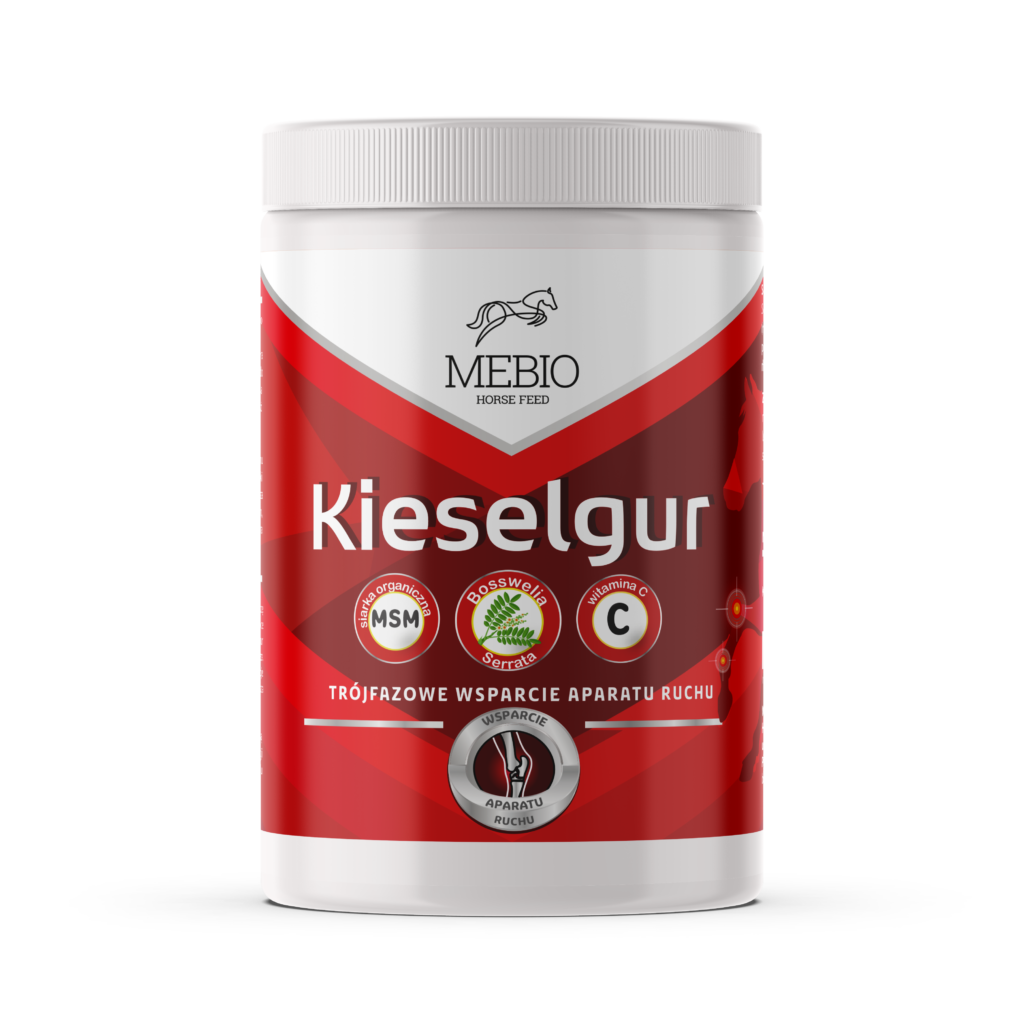 MEBIO Kieselgur 1kg Krzem + MSM + Vit C 24H Django Sklep Jeździecki